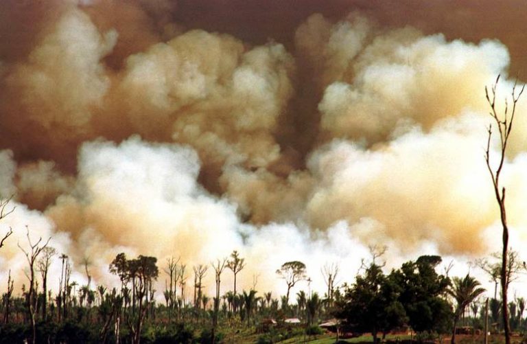 Der Amazonas brennt - was hat das mit mir zu tun?